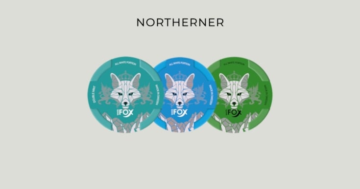 White Fox Nikotingehalt - Northerner DE