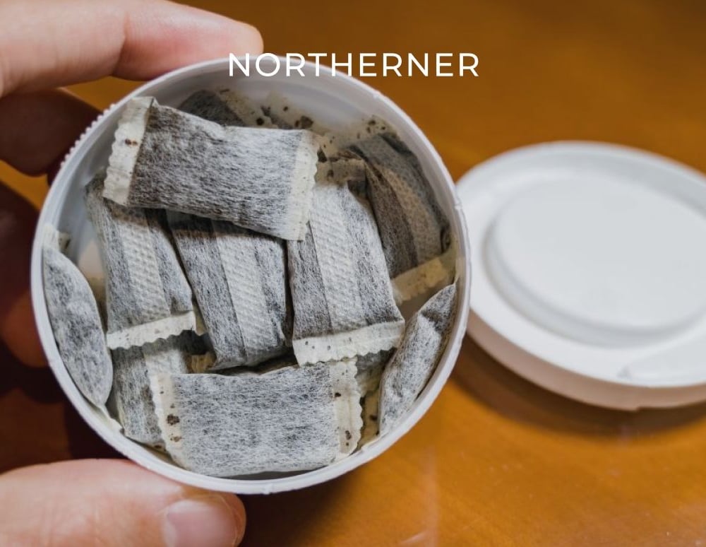 What Is ZYN? Everything You Need to Know About ZYN Nicotine Pouches