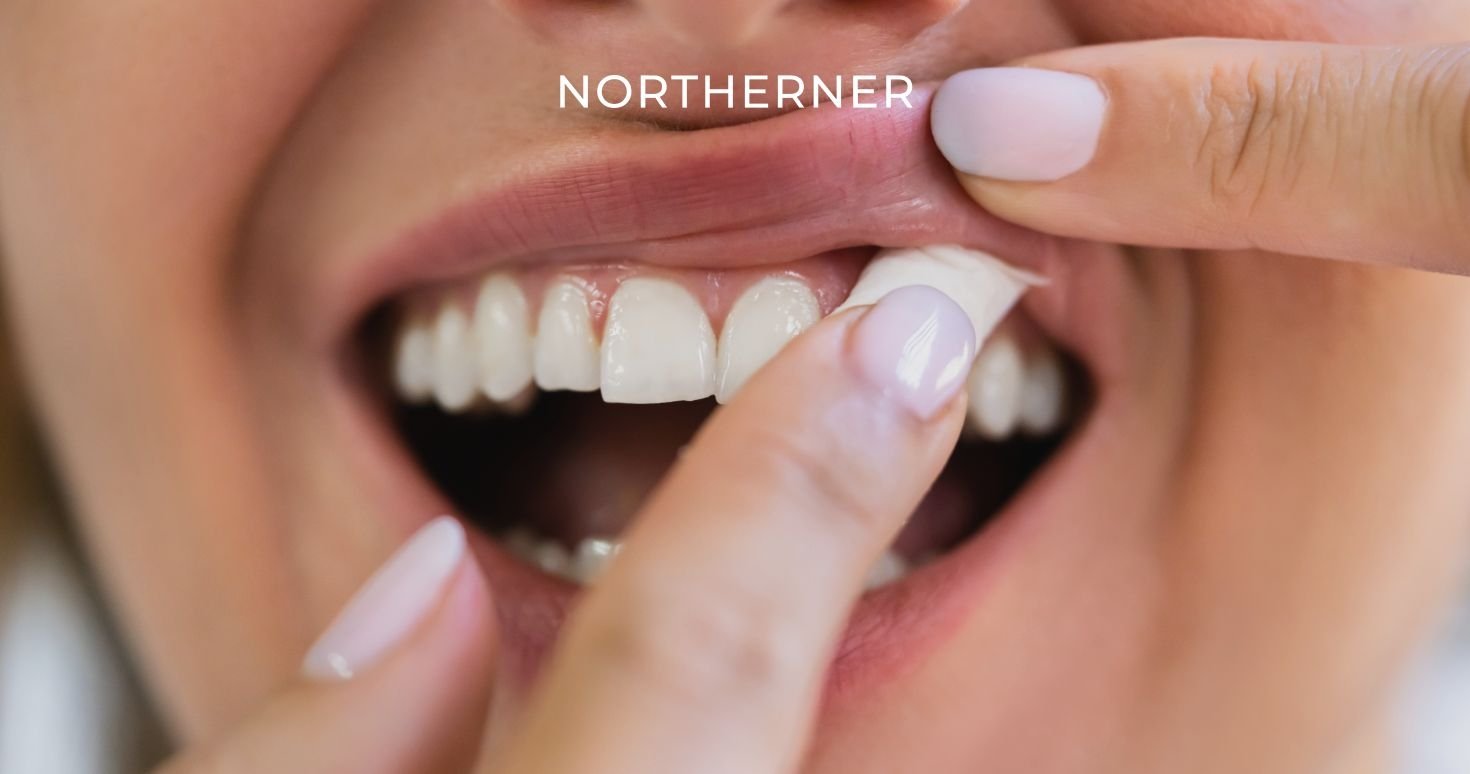 Nicotine Pouch Blog UK | Guides, Brands & News | Northerner